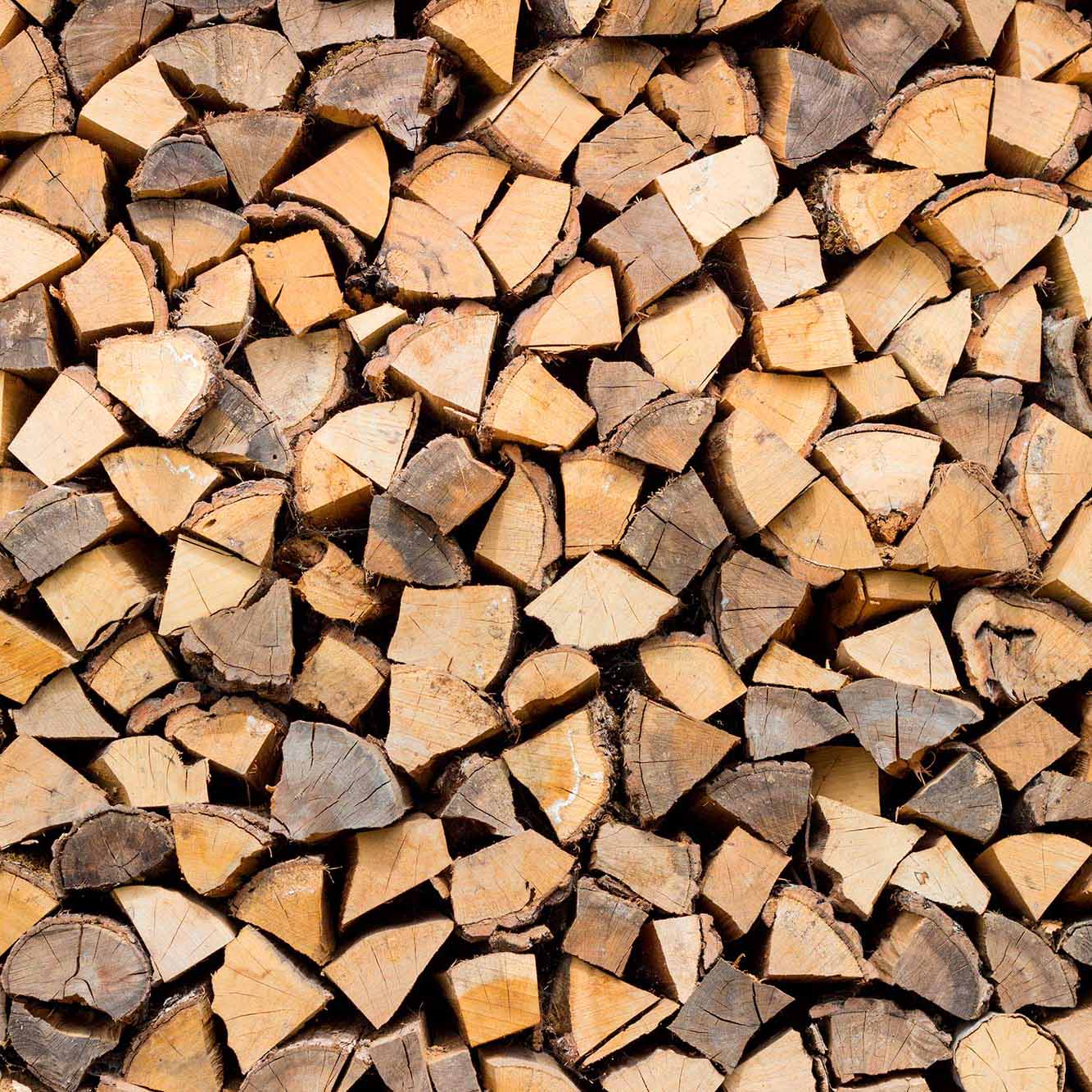 Sacchi raccolta - Saccheria Polato